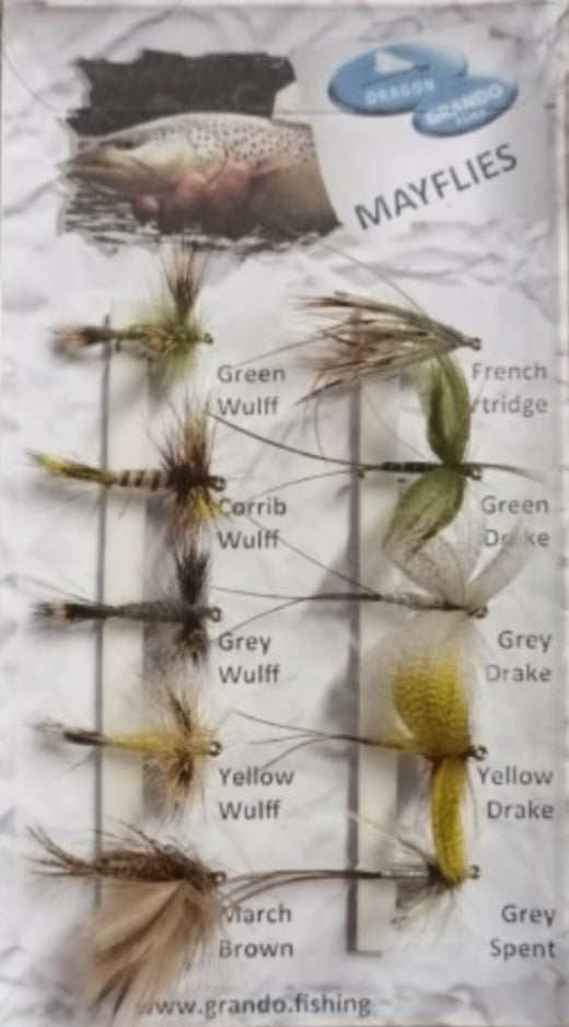 Buy Dragon 10 Mayfly Assorted Selection - OpenSeason.ie Irish Tackle ...