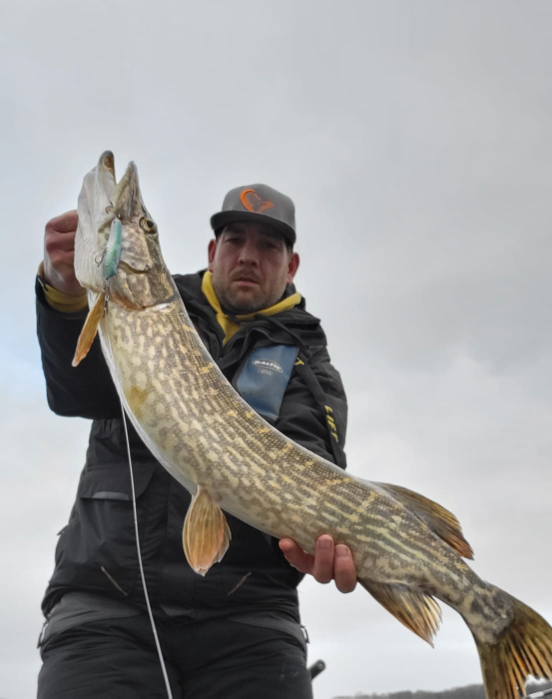 Forge of Lures Rolf Sinking Jerkbait Pike Lure | OpenSeason.ie Tackle ...