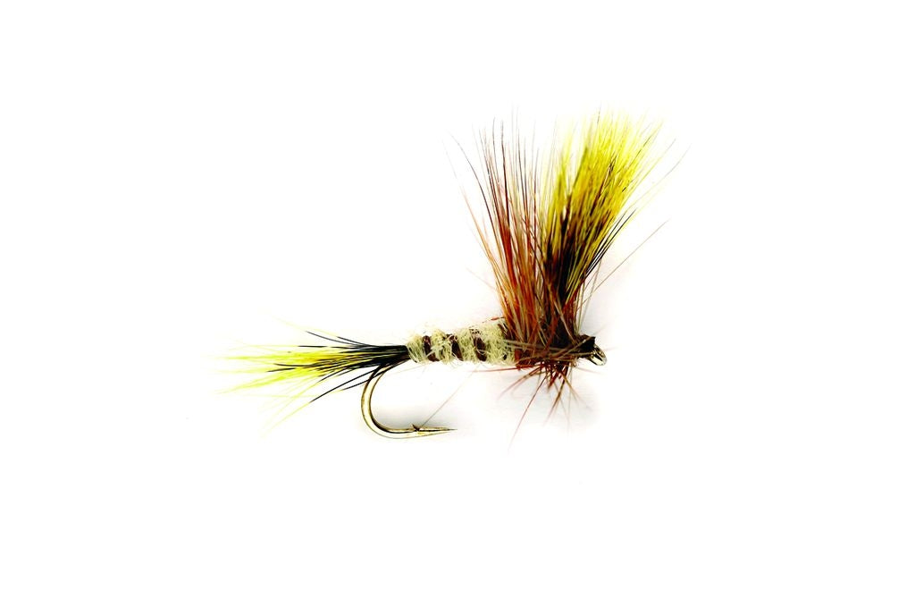 G&B Irish Trout Mayflies Pick & Mix | Irish Tackle Shop, Nenagh | Open ...